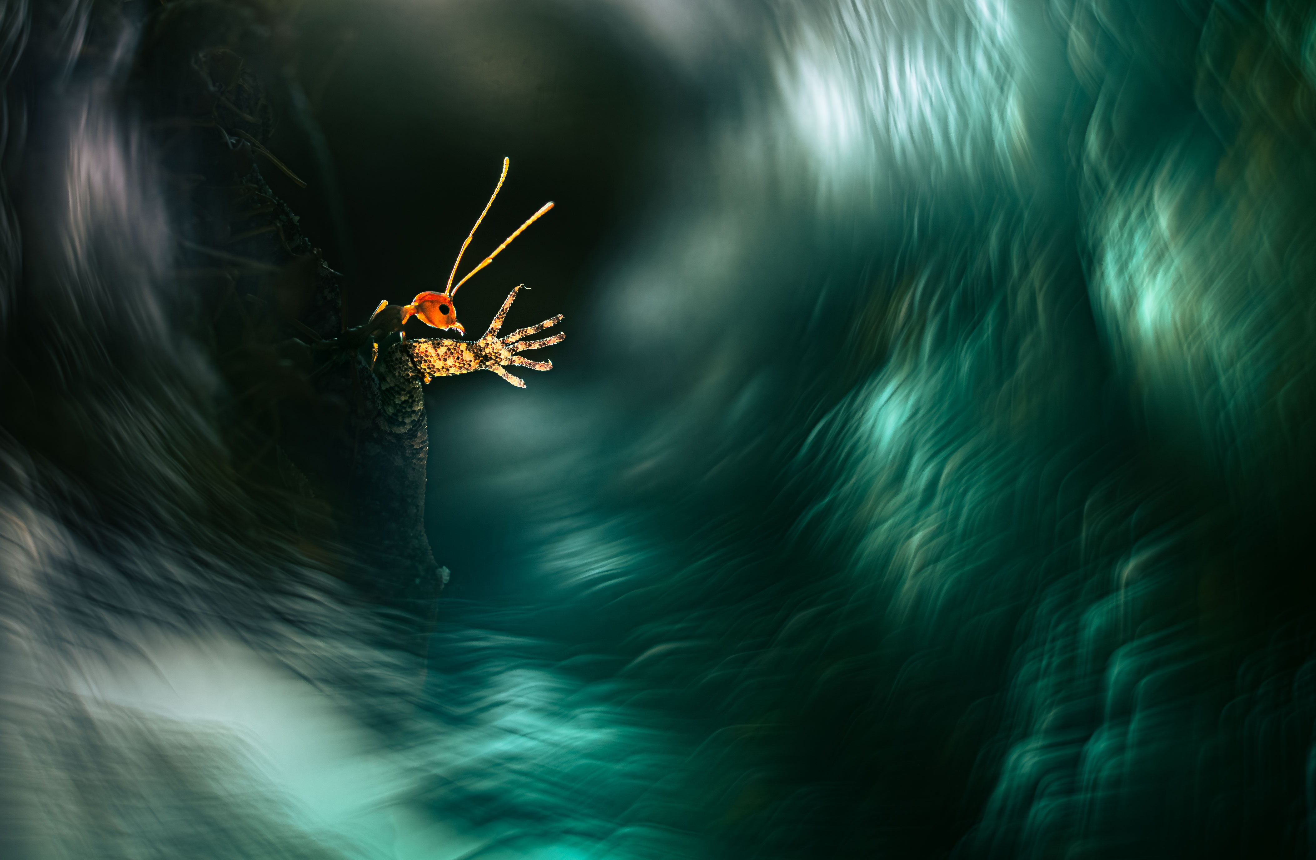 13th Edition of DJ memorial Photography Contest